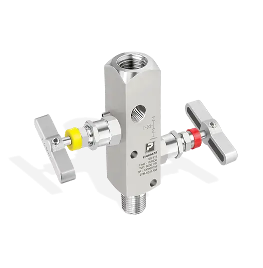 2 Valve Manifolds | Shakti Power Solutions